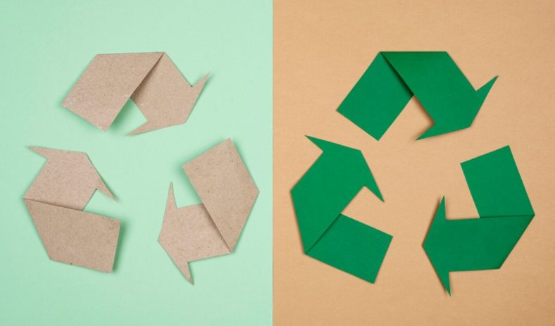 Diferencia entre papel reciclado y ecológico | tusencuestas.com 【2025】